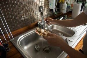 How to Clean Scallops | Seafood University